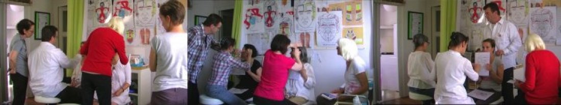 Toutes les informations sur le Dien Chan ou réflexologie faciale.